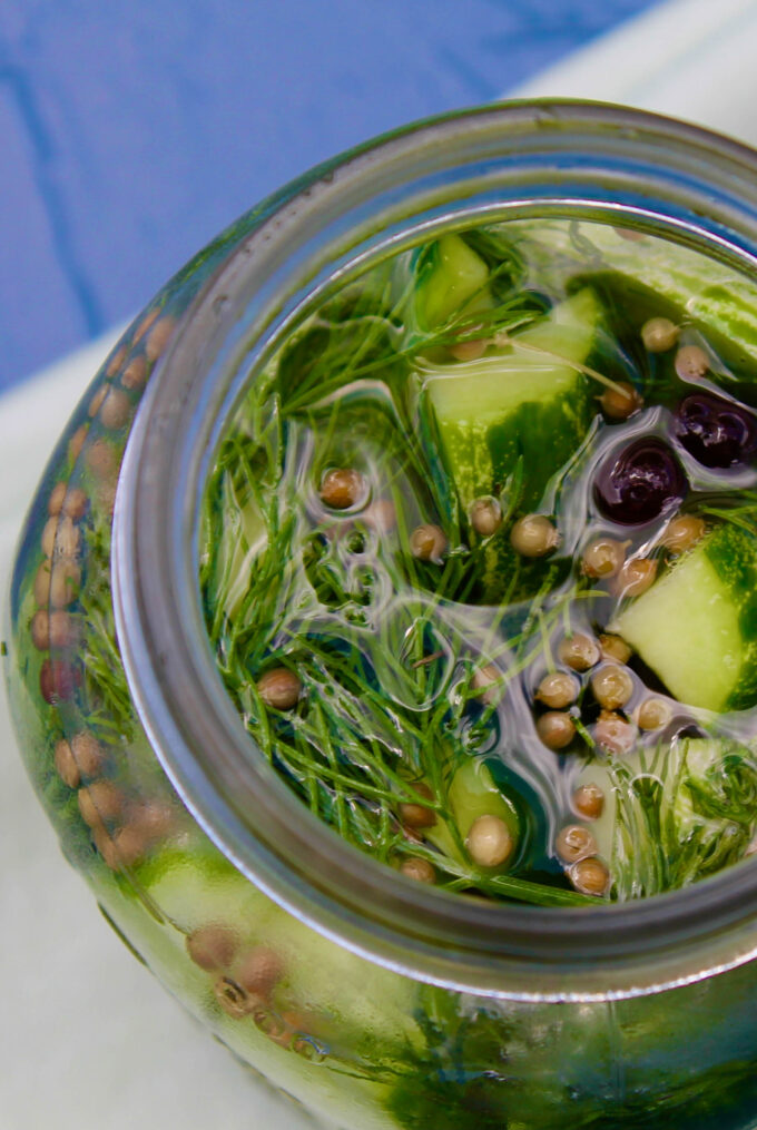 Half Sour Pickles - Anthony Michael Contrino